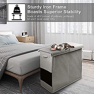 HOUSE AGAIN Double Laundry Hamper with Lid and Removable Laundry Bags, 160L, 2 Divider Dirty Clothes Hamper with Handles for Bedroom, Dorm, Foldable Laundry Basket Organizer, Dual hamper (Grey)