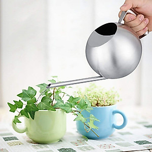 Fdit Long Spout Watering can for Indoor Plants Bonsai (1.0L)