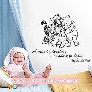 Winnie Pooh & Friends - A Grand Adventure is About to Begin Quote Baby Room Wall Decal- Decal for Baby's Room (Wide 22" x 18" Height)