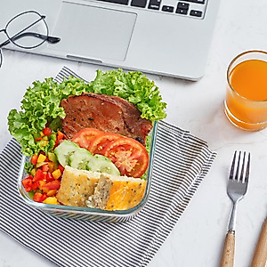 ECO-TOGO Airtight Glass Food Storage Containers with Lids, Glass Lunch Box, Leak-proof, BPA-Free, Microwave, Oven, Freezer, Dishwasher (5-Pack 175oz)