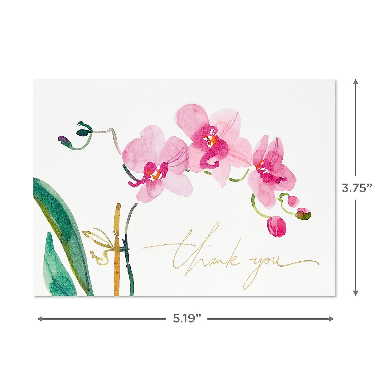 Hallmark Pink Orchid Thank You Notes (20 Blank Cards with Envelopes) for Bridal Shower, Baby Shower, Wedding, Birthday