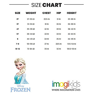 Disney Frozen Elsa Toddler Girls T-Shirt Mesh Skirt and Scrunchie 3 Piece Outfit Set 5T