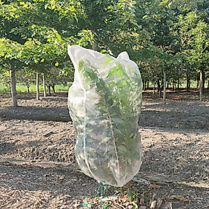 HHTHH 2pcs 3.9x5.9ft Garden Netting Bags with Drawstring Plant Mesh Cover Protect Vegetable Fruit Trees from Insect Birds