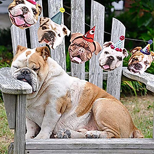 English Bulldog Garland, dog party decoration banner, Made in USA, Best Quality