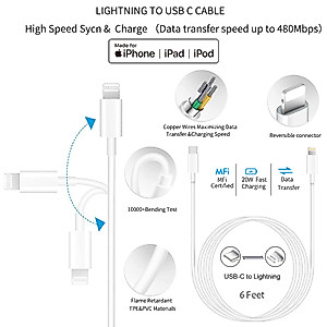 esbeecables Lightning Cable Adapter for iPhone iPhone 14/13/12/11/XS/XR/X/8/iPad (Lightning Cable with Adapter)