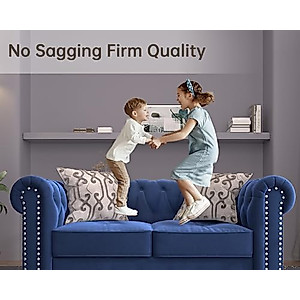 Morden Fort Classic Chesterfield Loveseat Set 60'', Tufted Loveseat Sofa Set with Solid Wood Legs Thick Cushion, Pet-Friendly 2-Seater Sofa Couch for Living Room Bedroom Apartment - Velvet Blue