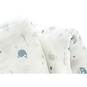 Cotton Organics Muslin Swaddle Blanket, Extra Soft and Hypoallergenic Organic Cotton, Gift Box (Blue)