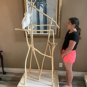 ExoticDad Small Parrot Stand - Customize Your Perch for Parrot with Dragonwood Natural Bird Perch on Wheels Parrot Play Stand for Cockatoo, Birds, African Grey, Macaw, Birds (2 x 2.85 Ft - B 4Ft H)