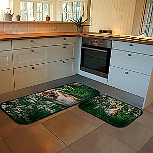 Vantaso Kitchen Floor Mat Rug Nice Small Dog Corgi Set of 2 Cushioned Non-Slip Comfort Runner Rugs