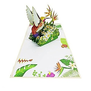 ETA 3D Floral Hummingbird Pop Up Card, Birthday Card, Thank You Card, Mother's Day Card, Nature Card, Congratulate with 3D Bird, Laser Cut, Handmade in Vietnam, 5.9 in x 5.9 in
