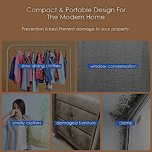 LUBAIR 4500 Sq.ft 50 Pint Dehumidifiers for Basements and Home, Large Room Basements with Automatic Drain or Manual Drainage,Intelligent Humidity Control, Laundry Dry, Auto Defrost, 24H Timer, Child Lock for Office, Living Room.