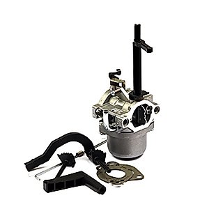 Briggs & Stratton 591378 Carburetor Replaces 796321, 696132, 696133, 796322