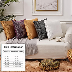 EUCIOR Black and Silver Pillow Covers,Black Pillow Covers 24x24,Light Silver Pillows Both Sides Sparkle Silver Foil Print,Decor Soft Velvet Hidden Zipper Closure Accent Pillows Set of 2