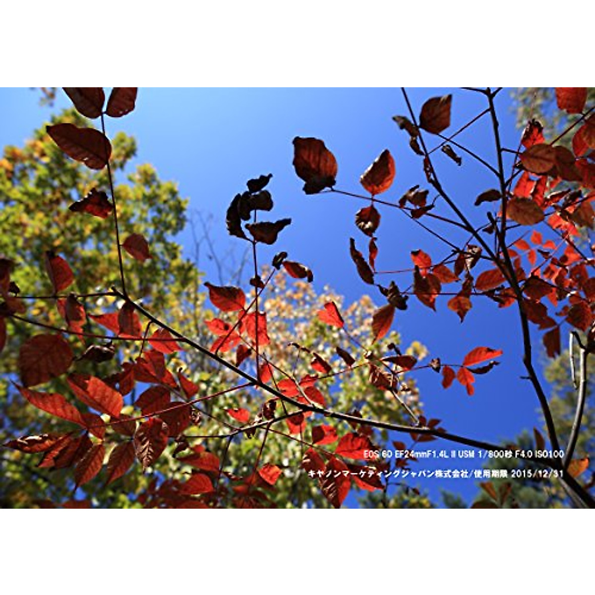 Canon EOS 6D with EF 24-105mm F4L IS USM Lens - International Version (No Warranty)