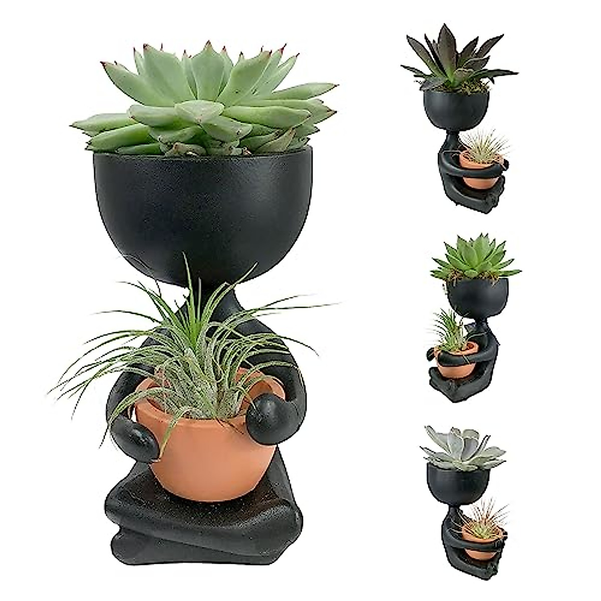 Zen Harmony Planter - Live Plants in a Decorative Pot - Cactus | Succulent | Air Plant - A Symbol of Serenity and Natural Beauty