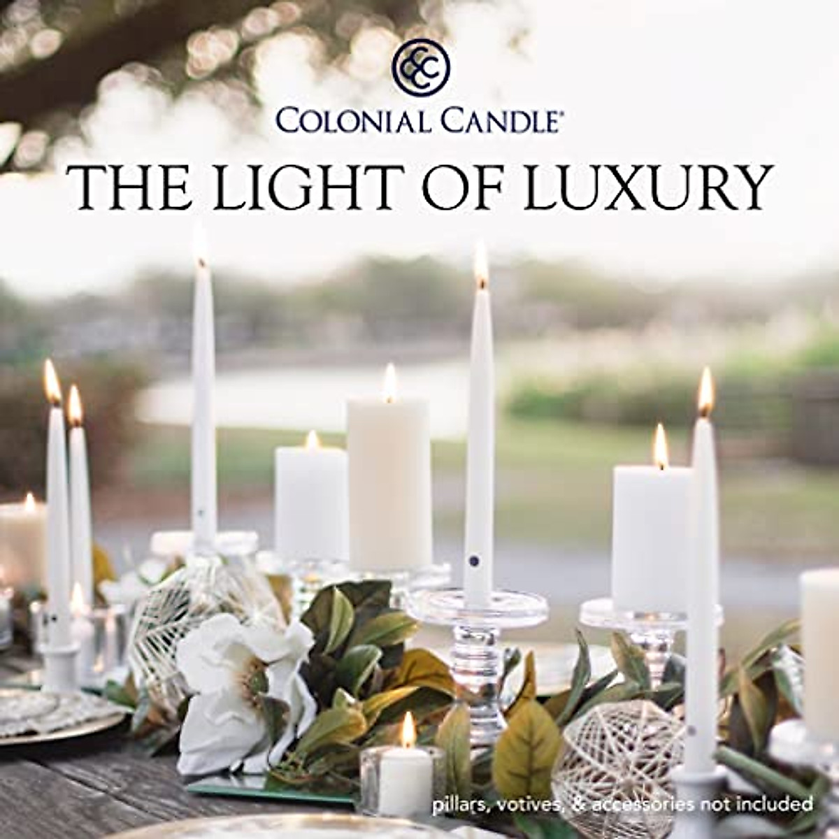 Colonial Candle Bayberry Scented Taper Candle, Hand-Dipped, Drip-Less & Smokeless, Premium Wax with Cotton Wick, 10 in, 2 pk