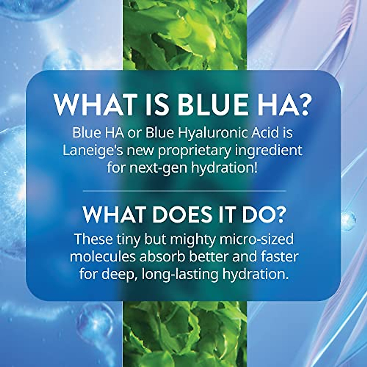 Water Bank Blue Hyaluronic Cream Moisturizer Mini: Hydrate and Nourish