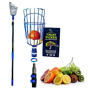 EVERSPROUT 12-Foot Fruit Picker (20+ Foot Reach) | Telescoping Fruit Picker Pole, Easy to Attach Twist-On Apple Basket | Lightweight, High-Grade Aluminum Extension Pole with Fruit Picker Basket