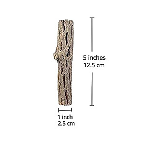 SunGrow Cholla Wood for Betta Fish, 5-Inches Long, Encourage Exercise, Create Basking Spot for Tropical Fish, Creative Addition to Home Crafts, Great Accent Piece, 3-Pcs