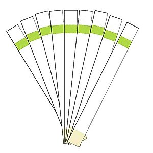 QuantiQuik Albumin Quick Test Strips (10 Strips)