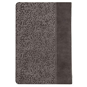The Passion Translation New Testament, Gray (2nd Edition, Faux Leather) – In-Depth Bible with Psalms, Proverbs, and Song of Songs, Makes a Great Gift for Confirmation, Holidays, and More