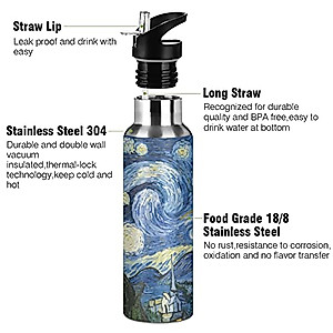 Qilmy Starry Night Sport Water Bottle with Straw Lid Double Wall Vacuum Insulated Flask Stainless Steel Water Bottle 20 oz