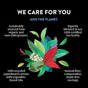 Choice Organic Teas Sipping Box Tea Sampler, Variety Gift Box, 32 Total Tea Bags, 8 Flavors, Caffeinated and Caffeine-Free Teas, Sustainably Sourced Organic and Non-GMO Ingredients