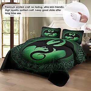 Personalized Dragon Quilt Set Dragon Scale Blue Bedding Set Twin Size Dragon Bedding Dragon Throw 3D Bedding Set Dragon Comforter for Boys Children Teens (Green Black Dragon)