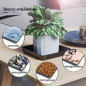 WAYNHUI Squared Plant Saucer 6/8/10/12/14/16/18/20inches Square Plastic Basin Tray Large/Small Water Receiving Tray (Black 10inch 5pack)