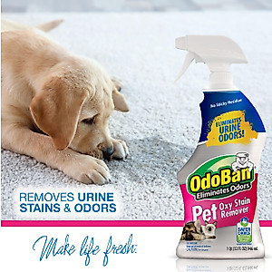 OdoBan Pet Solutions Oxy Stain Remover, Pet Stain Eliminator, 32 Ounce Spray