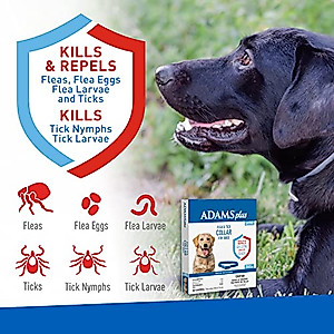 Adams Plus Flea & Tick Collar for Dogs, 7-Month Protection, Adjustable Collar Fits Large Dogs & Puppies, Kills & Repels Fleas, Flea Eggs, Flea Larvae and Ticks, Kills Tick Larvae and Tick Nymphs, Blue