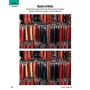 Brain Games - Picture Puzzles #4: How Many Differences Can You Find? (Volume 4)