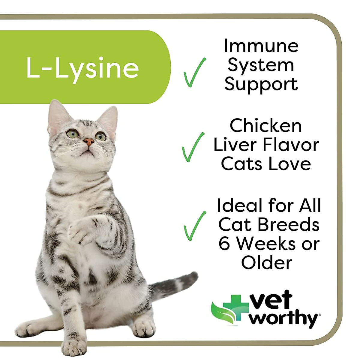 Vet Worthy L-Lysine Soft Chews for Cats - Cat Supplement to Support the Immune System and Overall Health - Cat Vitamins with 250 mg L-Lysine per soft chew - Chicken Liver Flavor Soft Chews, 3.17oz