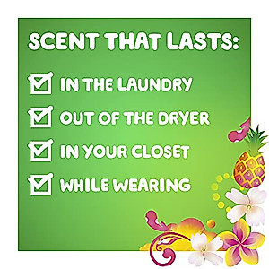 Gain Botanicals Plant Based Laundry Detergent, Orange Blossom Vanilla, 46 fl oz 32 loads, HE Compatible, Pack of 2