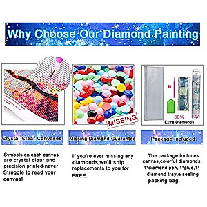 Diamond Painting Kits for Adult Kids,Diamond Painting Arts Number Kits,Perfect Home Wall Decor, Great Gift for Family and Friends 15.7"X11.8"