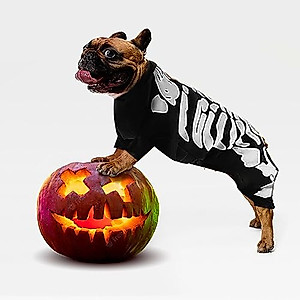 Hying Halloween Pet Costume for Dogs Cats, Halloween Skeleton Dog Costumes Clothes Pet Jumpsuit Shirt Outfits Costume Skull Hoodie Pet Clothes Apparel for Puppy Dog Cat Cosplay Dress Up Supplies (L)