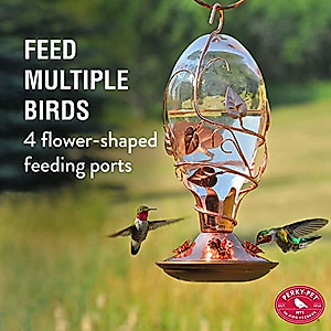 Perky-Pet 8110H-1 32 oz Looking Glass Hummingbird Feeder, Copper