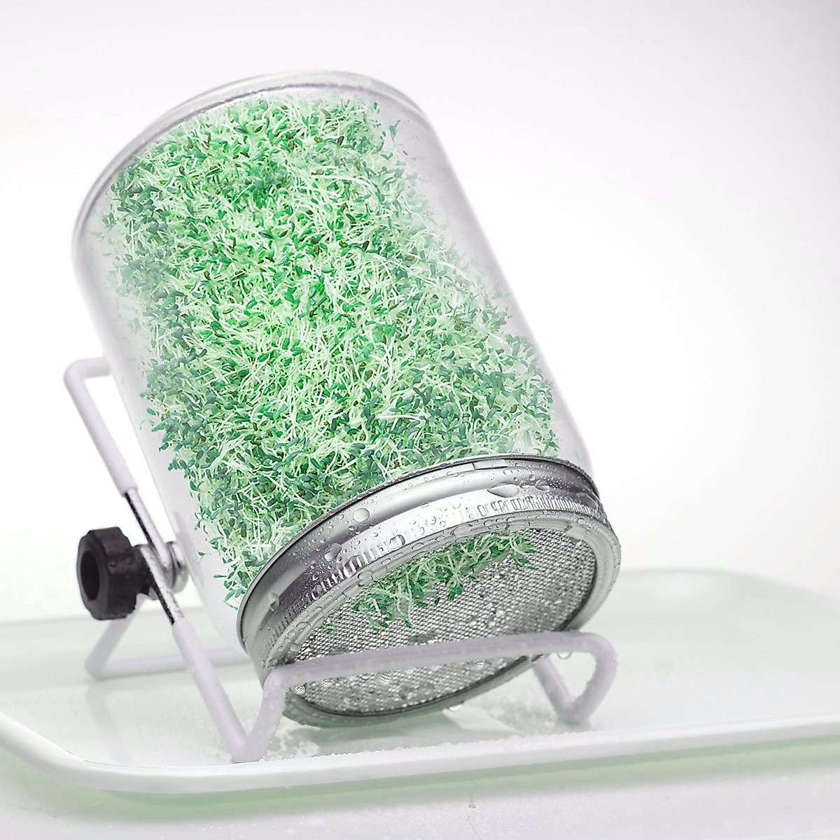 2 Pack Foldable Stainless Steel Sprouting Stands for Mason Jar Pot Lid Drain Tablet Rack with Non-slip Scaffolds