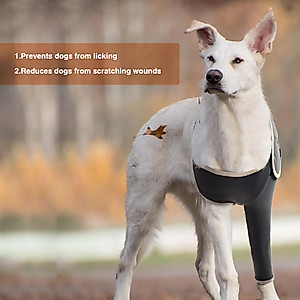 Hilltown Dog Elbow Pad Front Leg Protector to Prevent infect and Scratching - Injury Protection for Dog Elbow, Post-Surgery Recovery - Front Leg Brace for Dogs（Left Leg M）