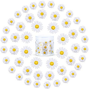 Hicarer 50 Pieces Flatback Resin Daisy Flowers Daisy Flower Epoxy Charms Mini Decorated Daisies Artificial with Storage Box for DIY Craft Cloth Pen Box Home Decoration, 3 Sizes (White and Yellow)