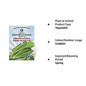 The Old Farmer's Almanac Heirloom Romaine Lettuce Seeds (Parris Island Cos) - Approx 1800 Seeds - Non-GMO, Open Pollinated, USA Origin