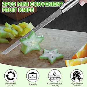 hongani Multipurpose Outdoor Portable Fruit Knife With Sheath, Cuchillo Multiusos Para Fruta PortáTil Para Exteriores Con Funda,Sterling Silver Knife Stick One Fruit Knife (1PCS)