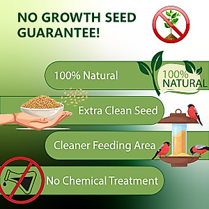 Happy Wings Nyjer/Thistle Seeds Wild Bird Food-13 Ounce | Prefilled Sock | No Grow Seed I Bird Seeds for Wild Birds