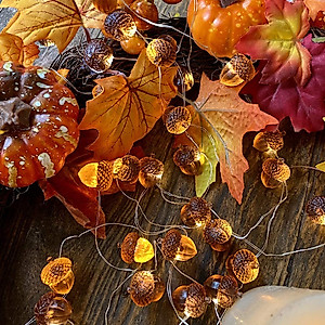 JASHIKA 3D Twinkle Acorn Fall Decorations Harvest String Lights 10ft Copper Wire 30 LEDs Battery Powered with Timer Remote Control for Wedding Bedroom Fireplace Mantel Ice Age Ornaments Home Decor