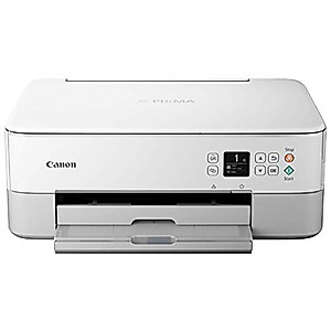 Canon TS6420 All-In-One Wireless Printer, White (Renewed)