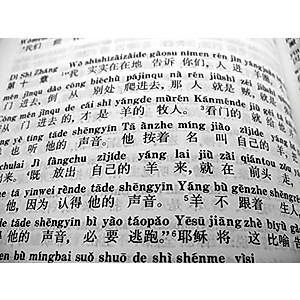 Pinyin New Testament Bible in Simplified Chinese. 拼音新约圣经 (简). 拼音新約聖經 (簡)