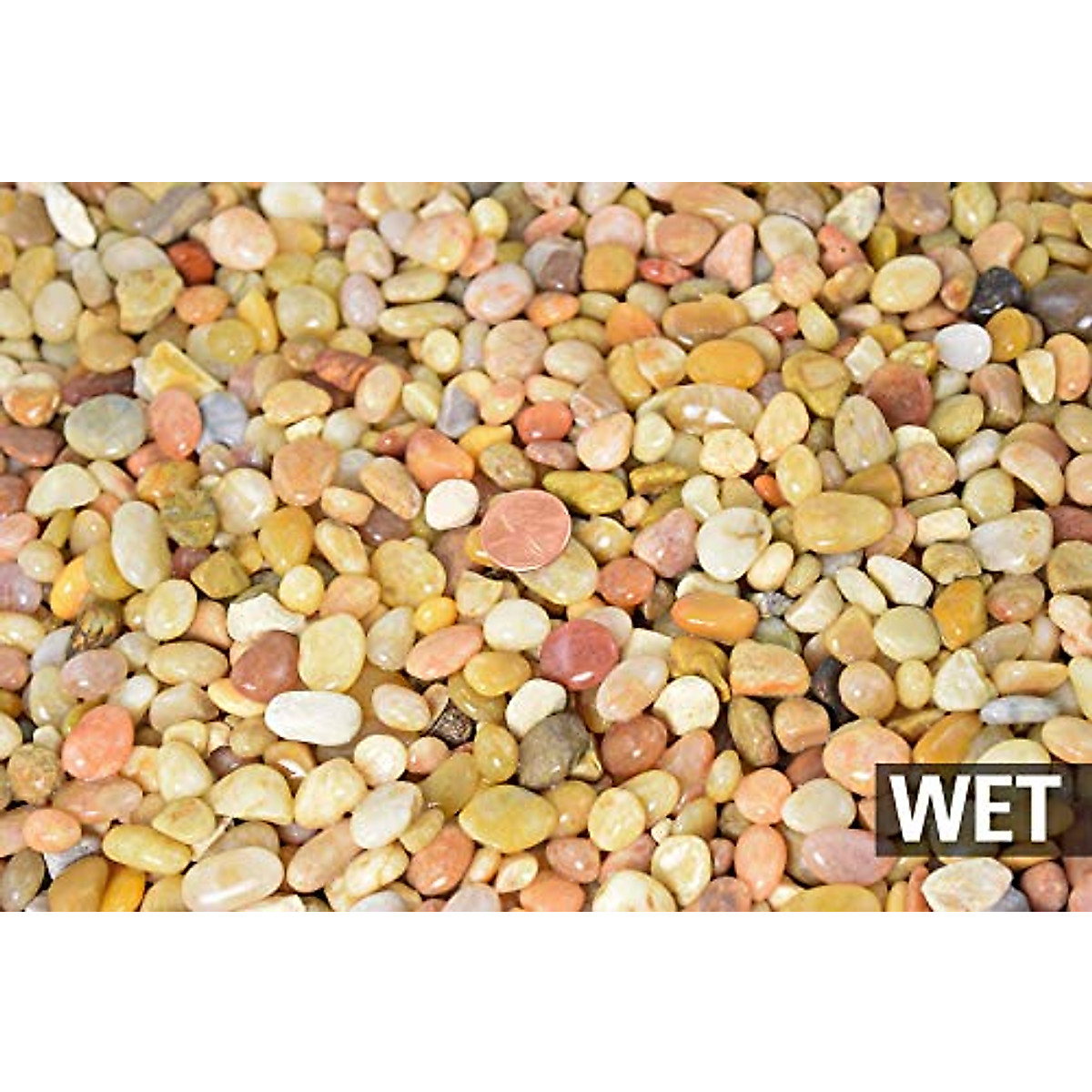 3 Lbs Large Salmon Bay Pebbles for Bonsai Tree Humidity Tray & Lucky Bamboo