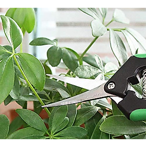 LDK Gardening Hand Pruner Pruning Snip Pruning Shears for Bud, Garden Trimming Scissors with Stainless Steel Curved Blades, 6.5-Inch