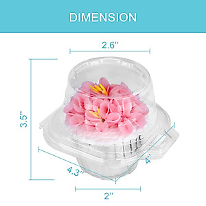 LOKQING 100 Pcs Cupcake Boxes Plastic Individual Cupcake Containers Single Cupcake Carrier with Connected Airtight Dome Lid for Party