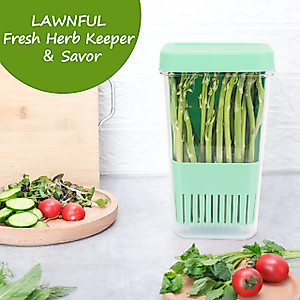 2 Pack Fresh Herb Keeper for Refrigerator, Clear BPA-Free Herb Saver, Storage Container for Cilantro, Parsley, Thyme, Mint & Asparagus, Preserver Keeps Fresh Herbs for 3 Times Longer, Green & Blue